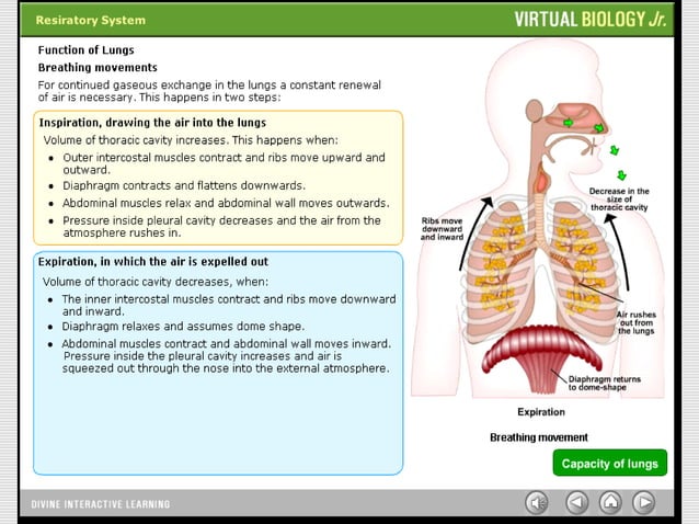 10. Respiration in Organism by Dilip Kumar Chandra | PPT
