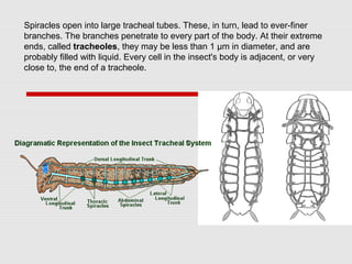 10. Respiration in Organism by Dilip Kumar Chandra | PPT