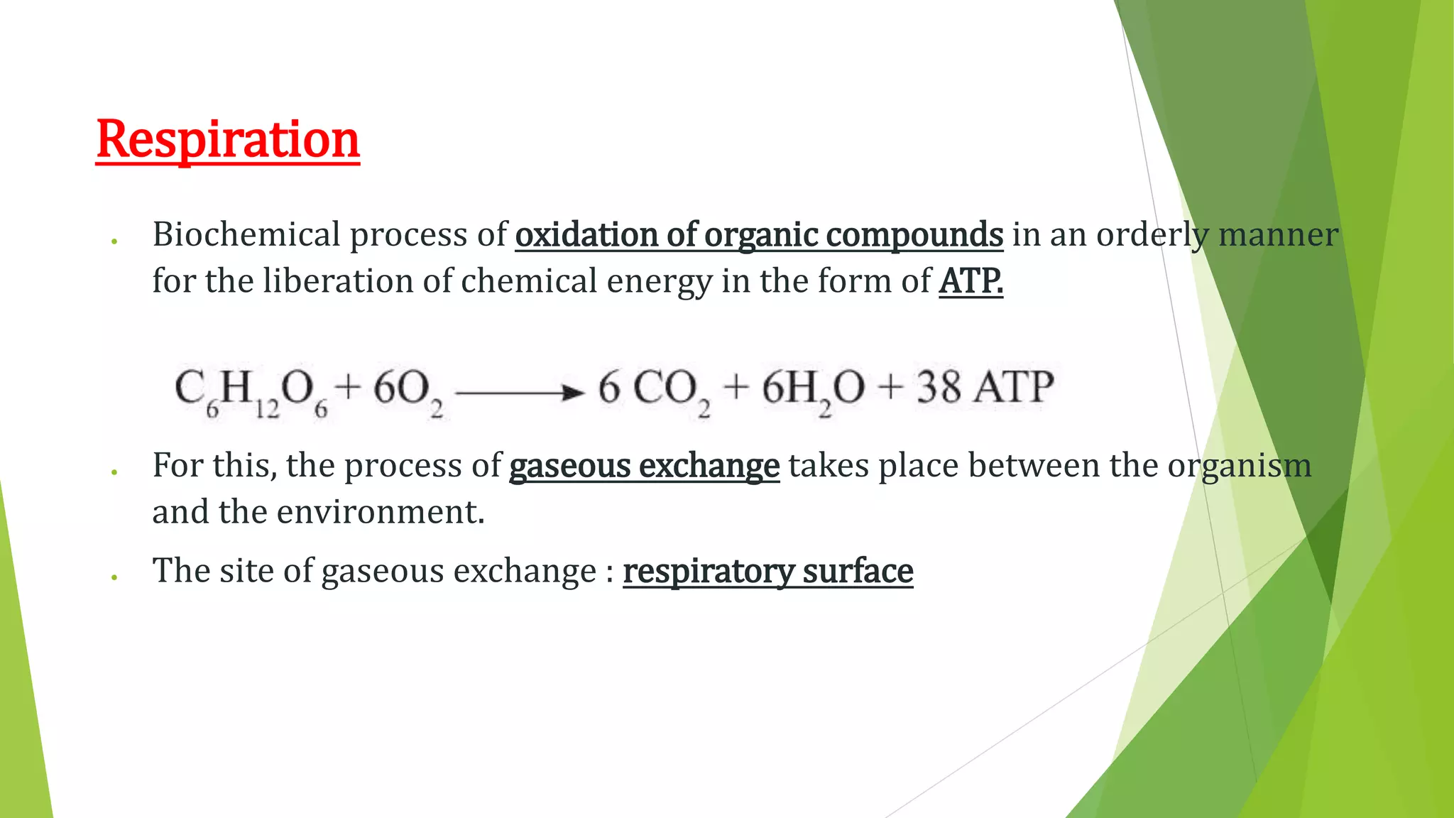 Respiration and circulation | PPTX