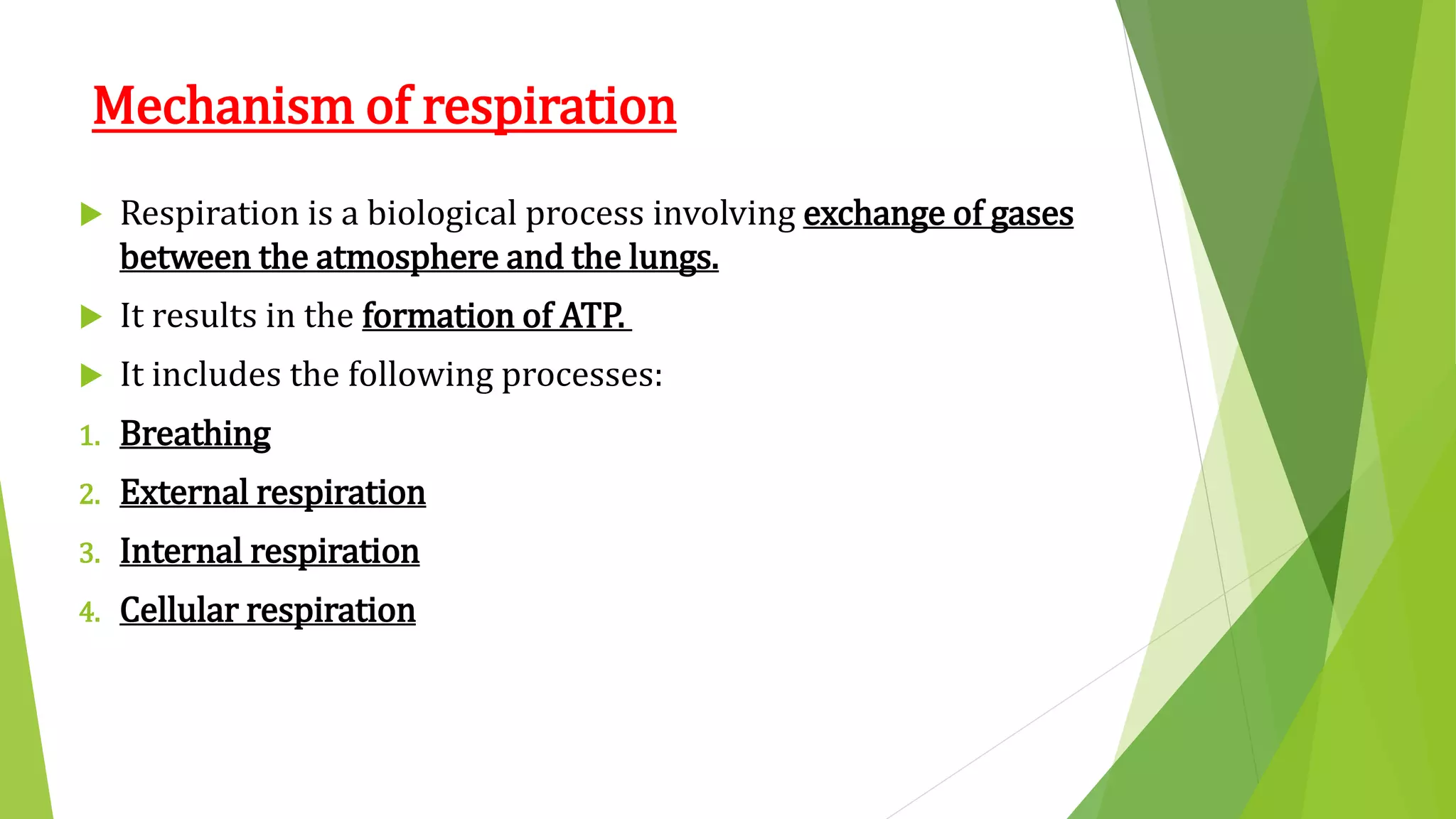 Respiration and circulation | PPTX