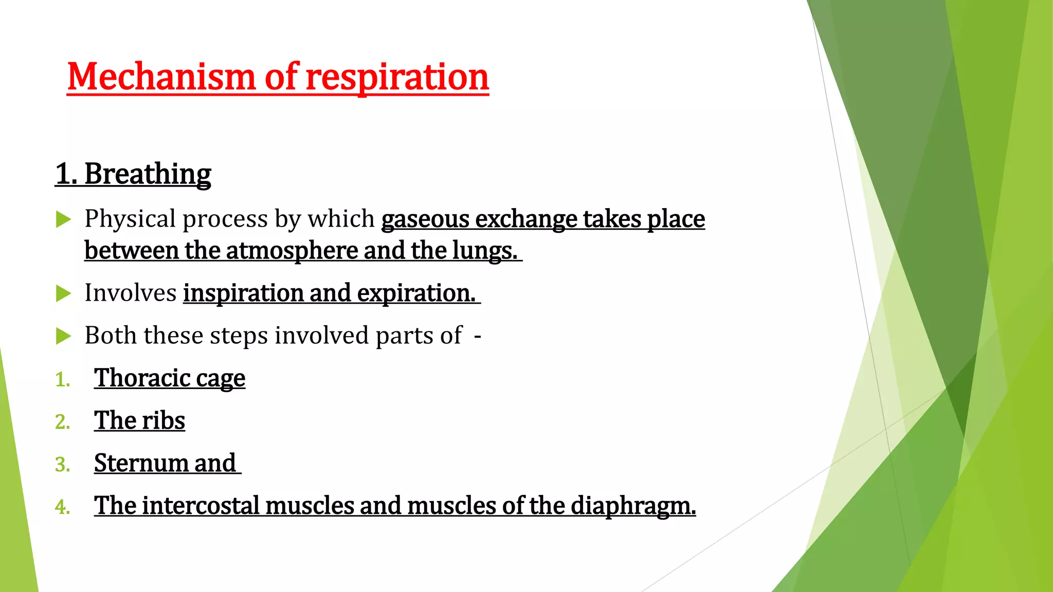 Respiration and circulation | PPTX