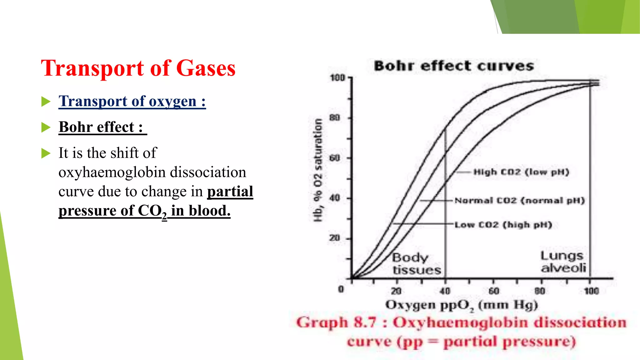 Respiration and circulation | PPTX