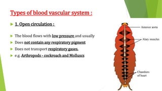 Respiration and circulation | PPTX