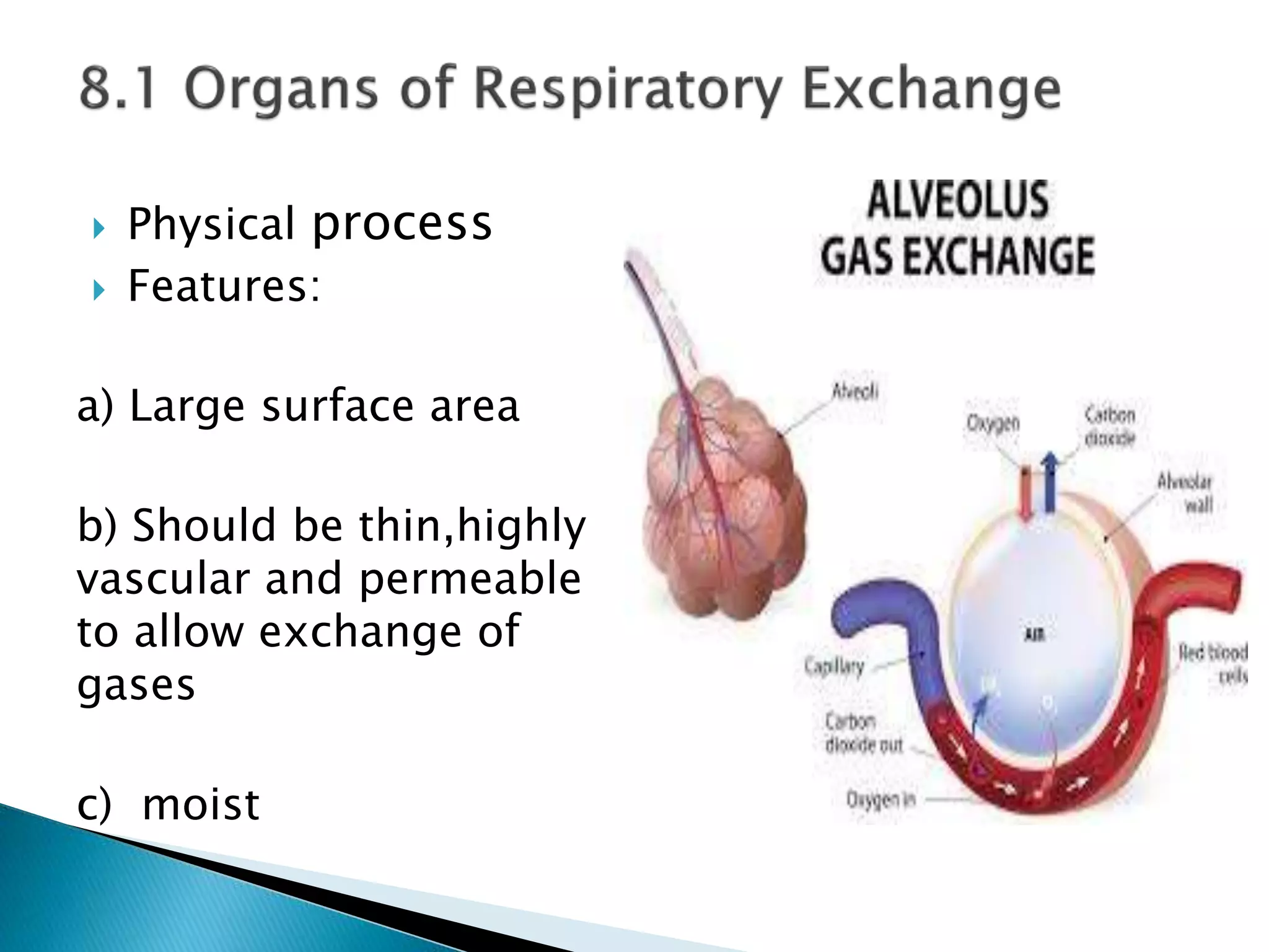 Respiration and circulation.pptx