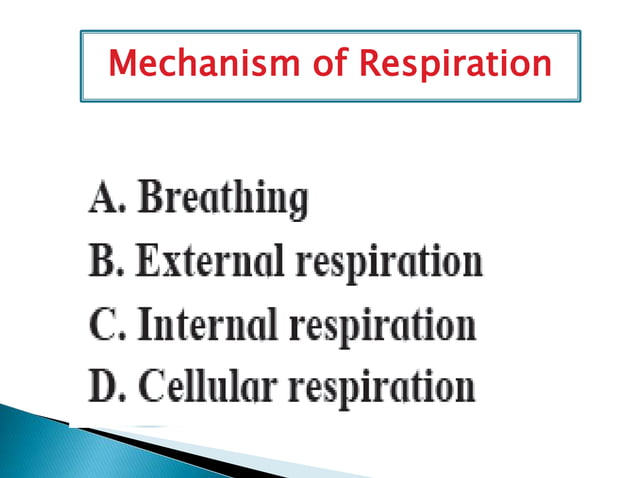 Respiration and circulation.pptx | Lung and Respiratory Health ...