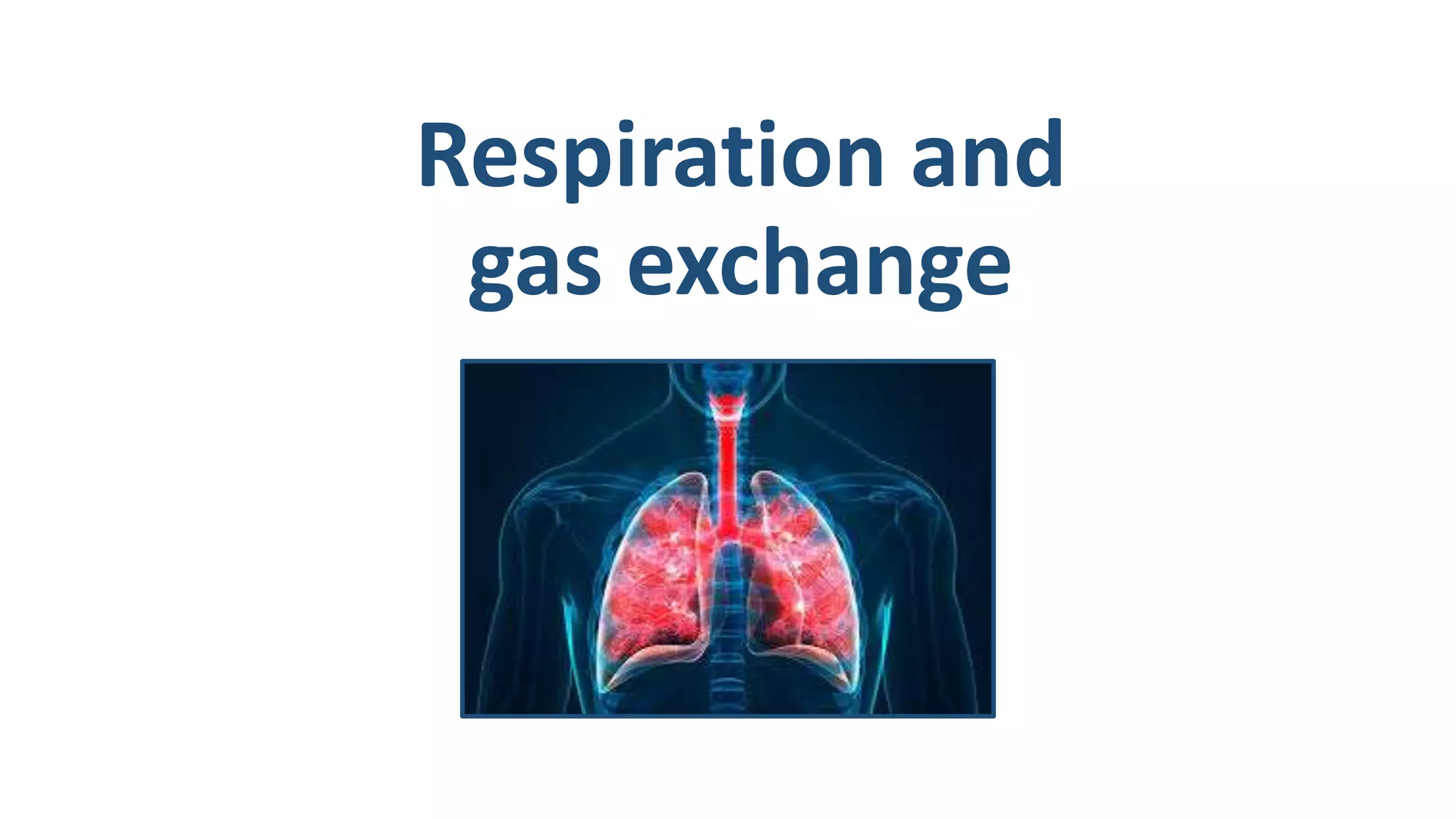Respiration And Gas Exchange | PPT
