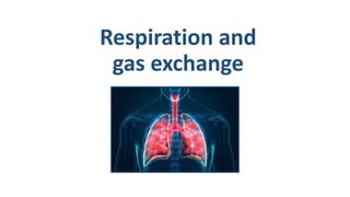 Respiration And Gas Exchange | PPT