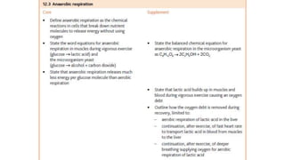 Respiration And Gas Exchange | PPT