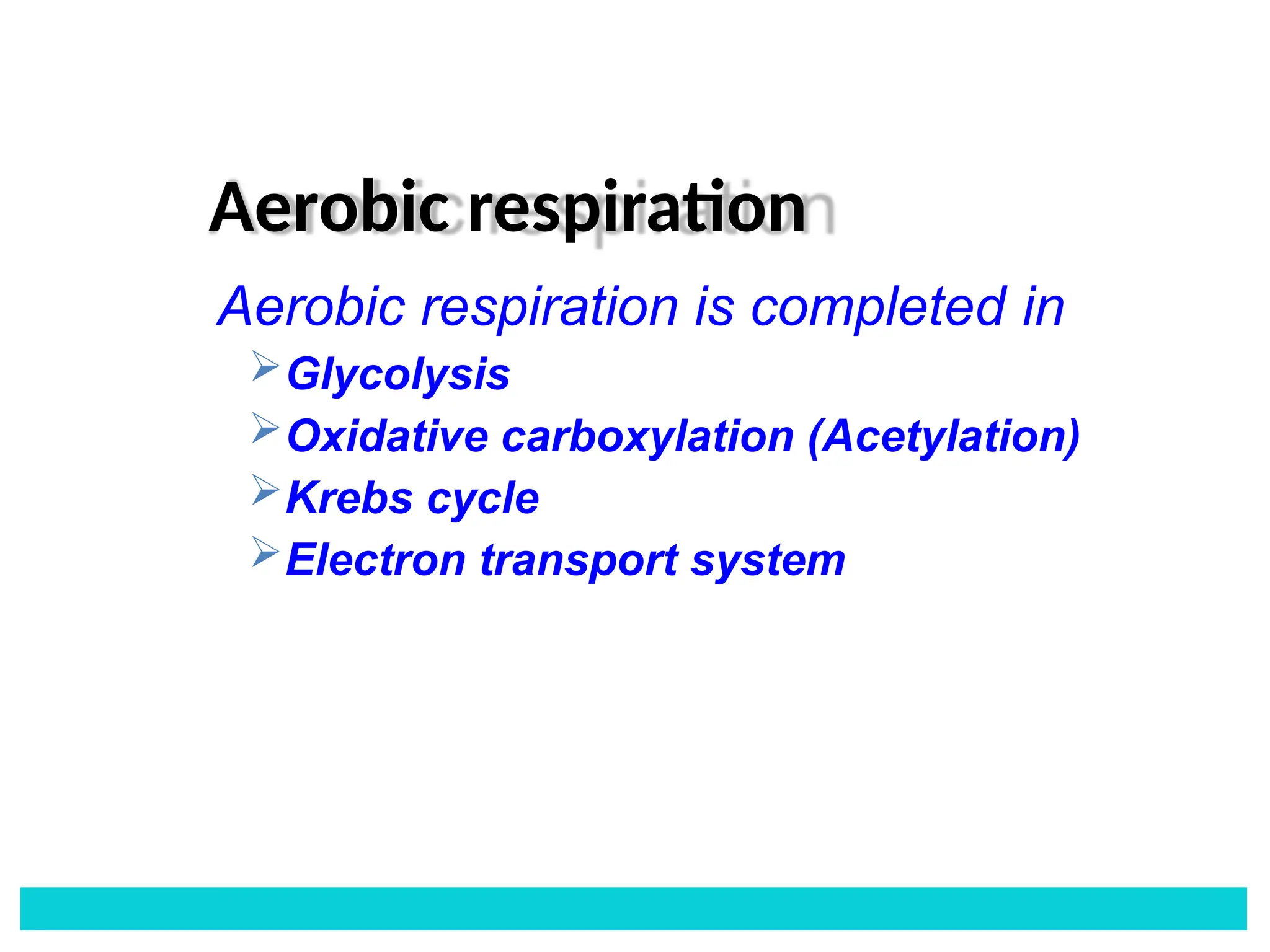 respiration and photosynthesis Lecture.pptx