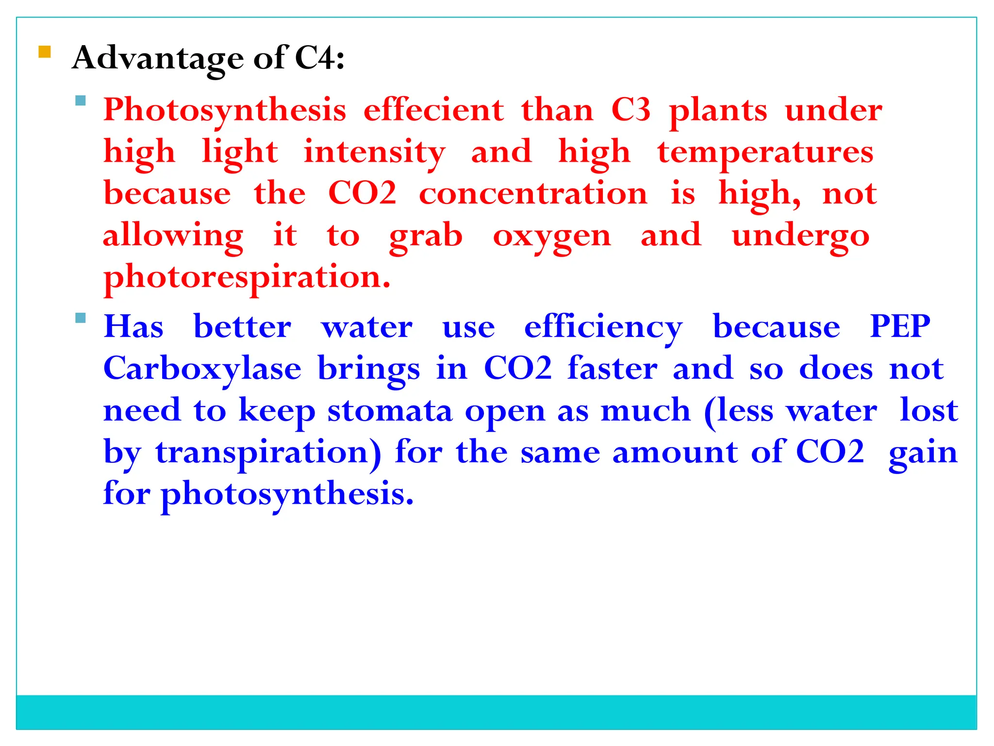 respiration and photosynthesis Lecture.pptx