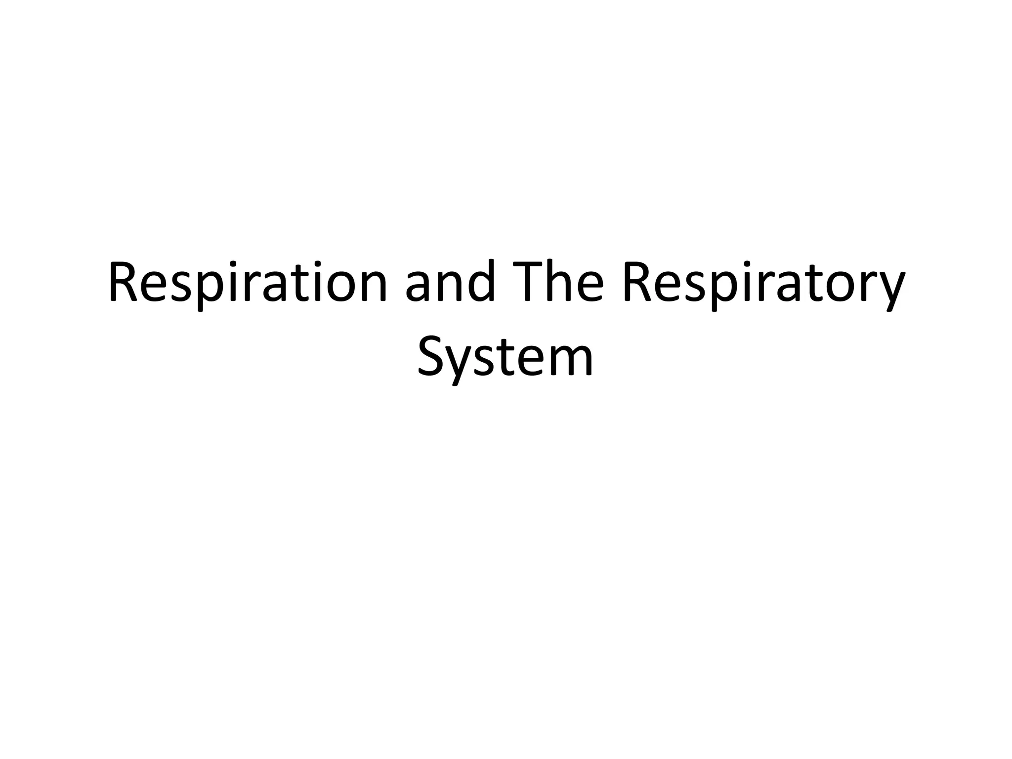 Respiration and the respiratory system revision | PPTX