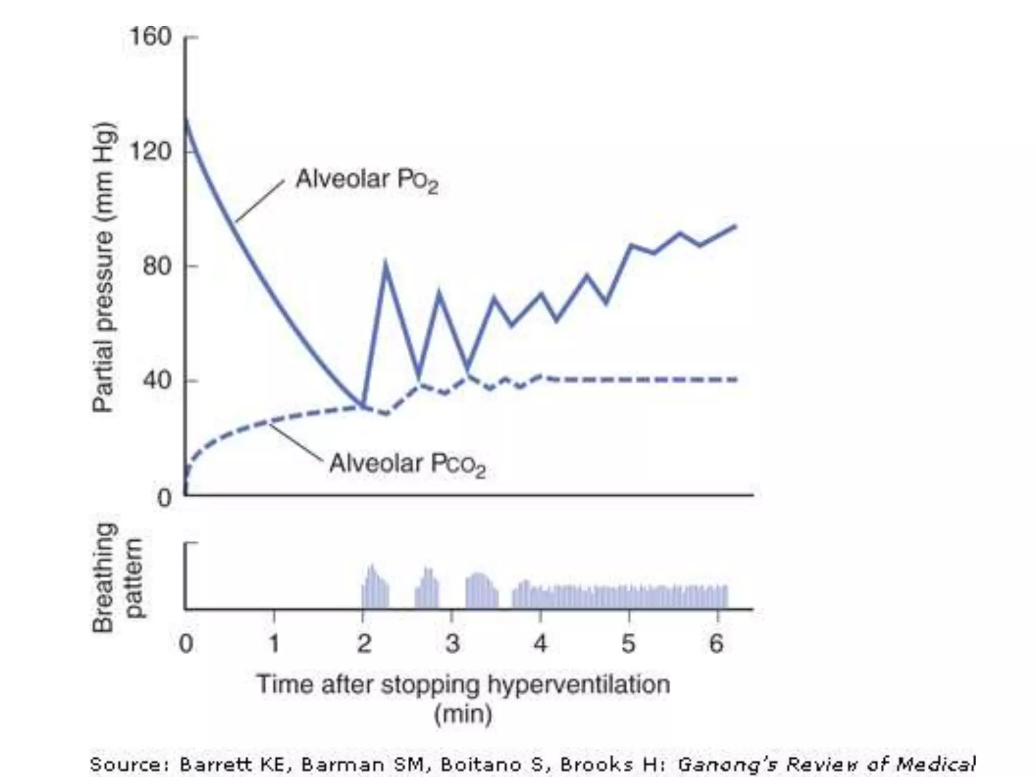 Respiration Applied Aspects.ppt