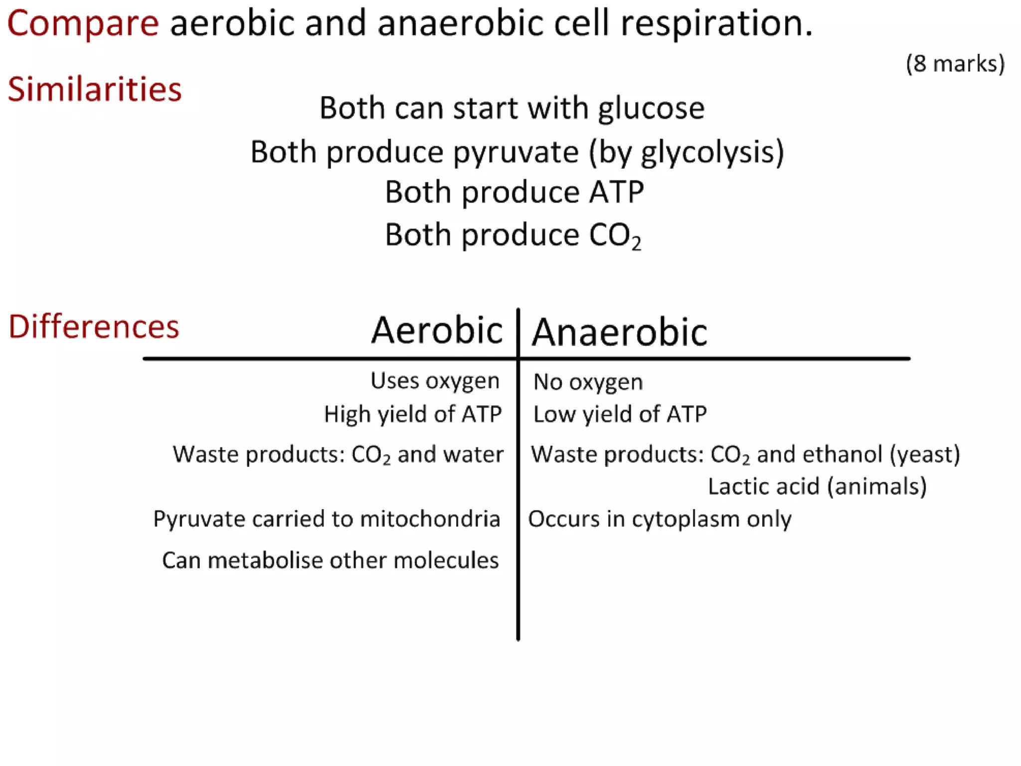Respiration (Core) | PPT