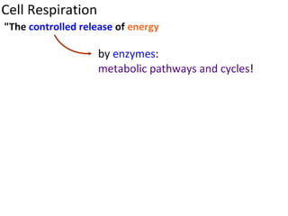 Respiration (Core) | PPT