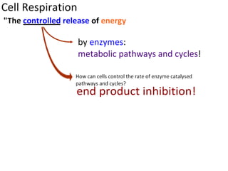 Respiration (Core) | PPT