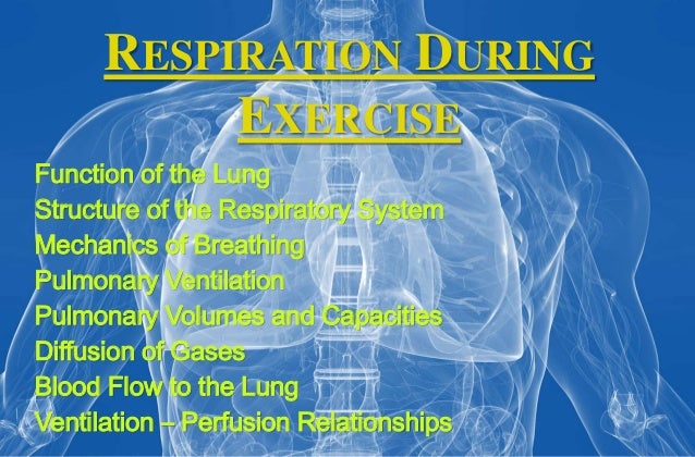Respiration During Exercise