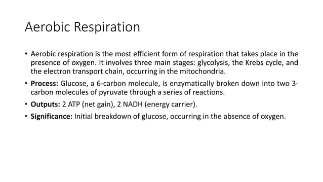 Respiration Plant Physiology Explained in Brief Class 12 | PPT