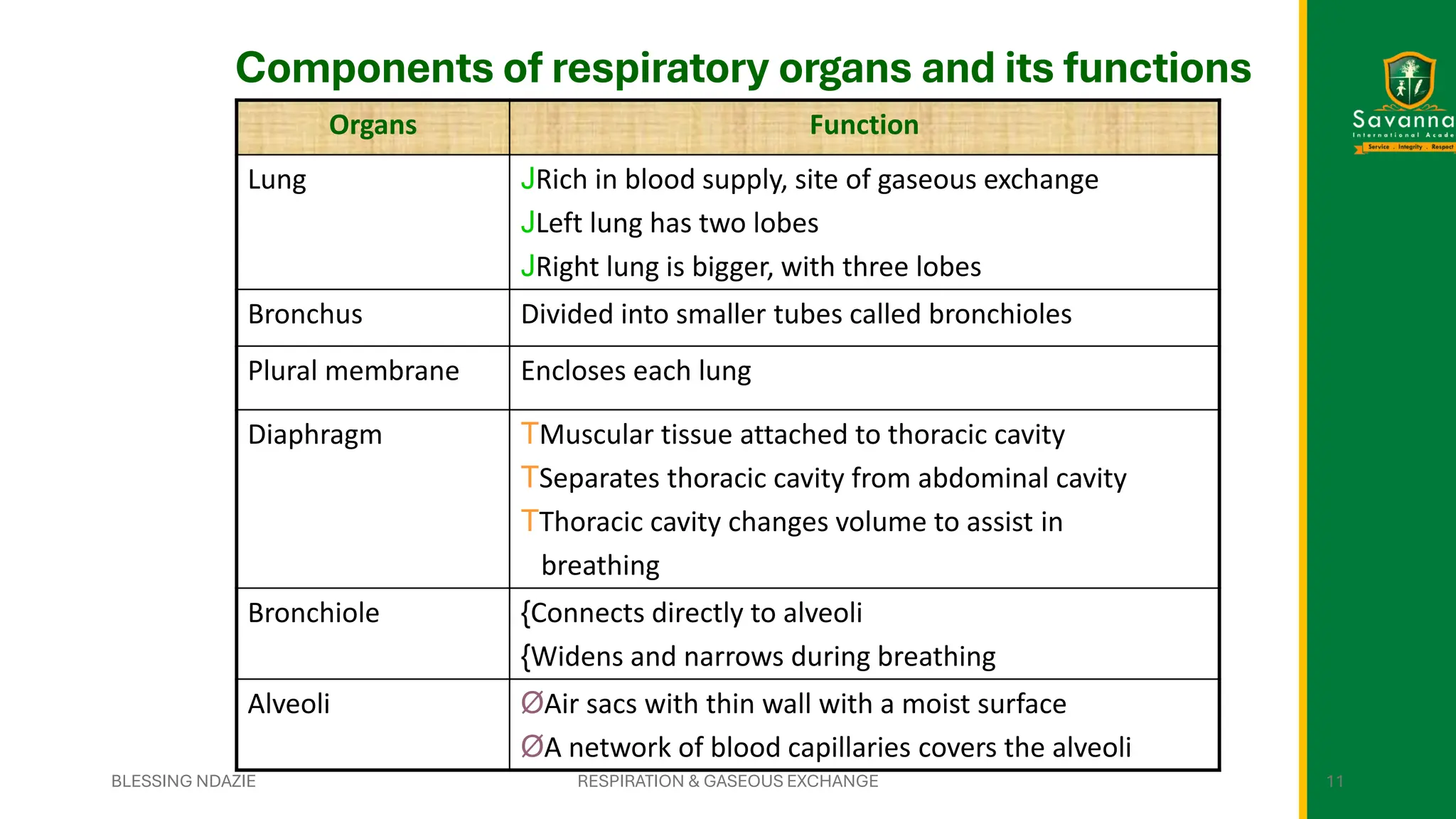 Respiration & Gas Exchange | Cambridge IGCSE Biology | PDF