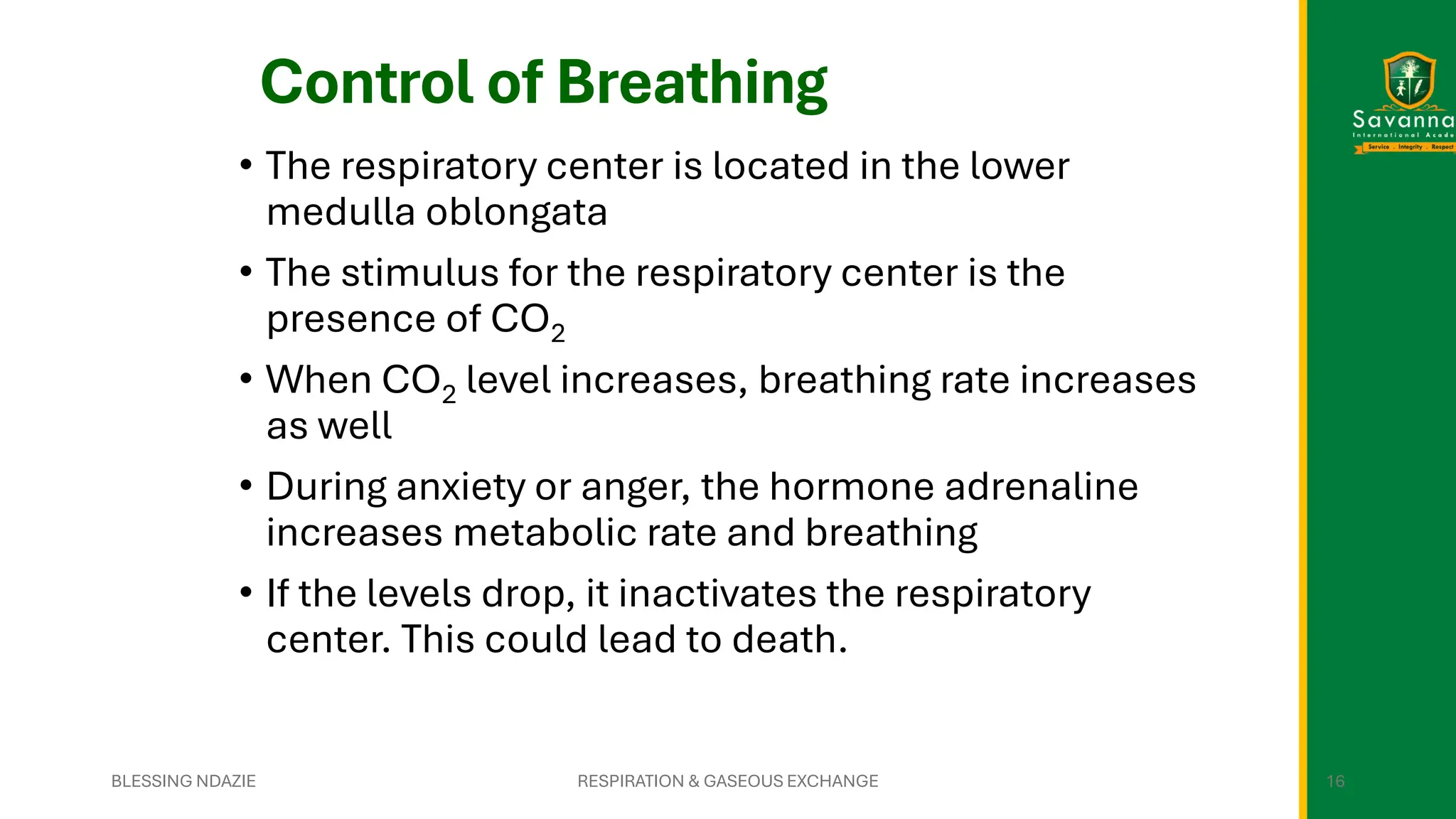 Respiration & Gas Exchange | Cambridge IGCSE Biology | PDF