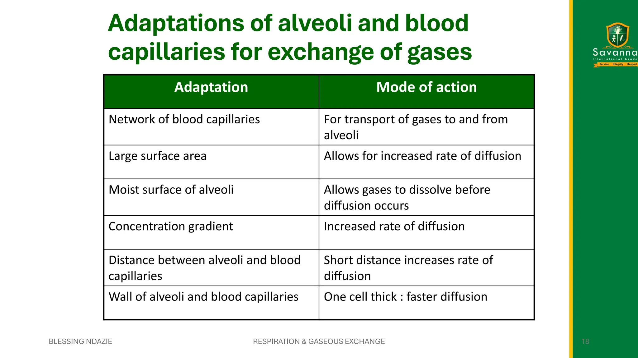 Respiration & Gas Exchange | Cambridge IGCSE Biology | PDF