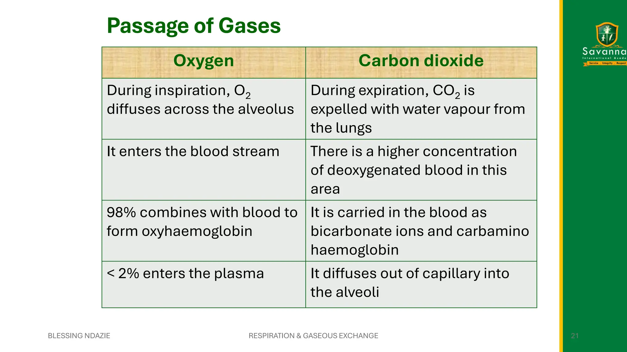Respiration & Gas Exchange | Cambridge IGCSE Biology | PDF