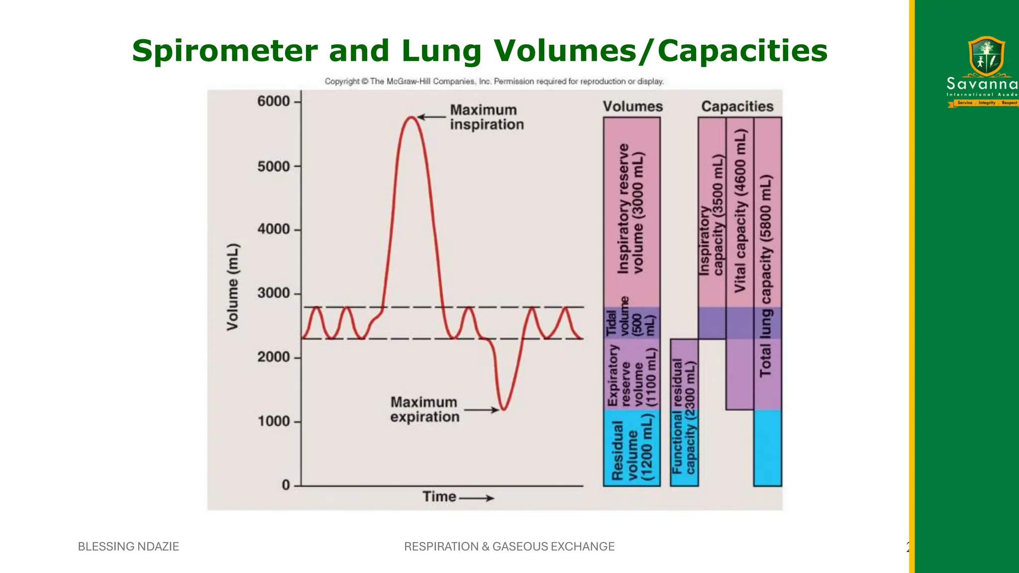 Respiration & Gas Exchange | Cambridge IGCSE Biology | PDF
