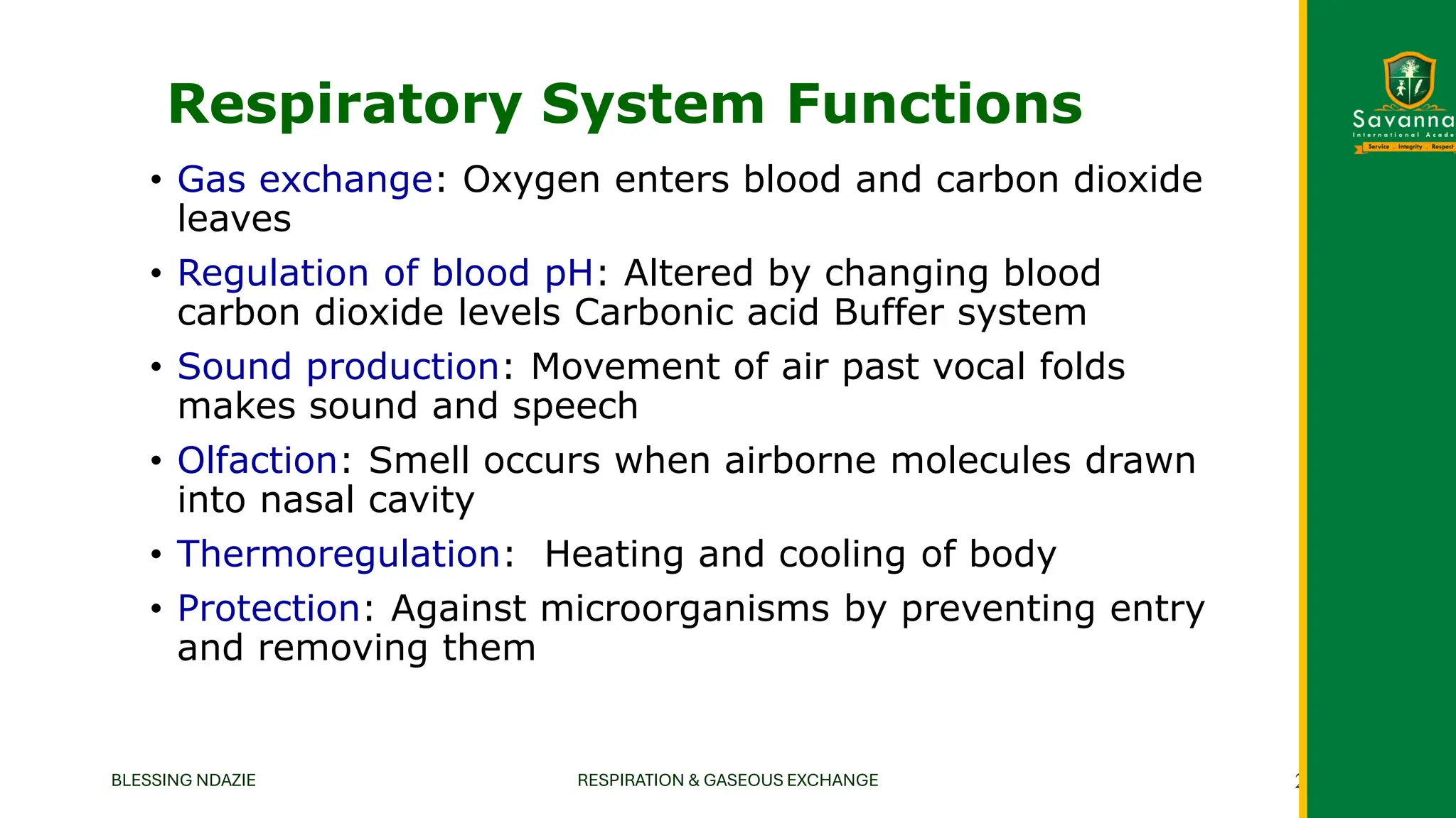 Respiration & Gas Exchange | Cambridge IGCSE Biology | PDF