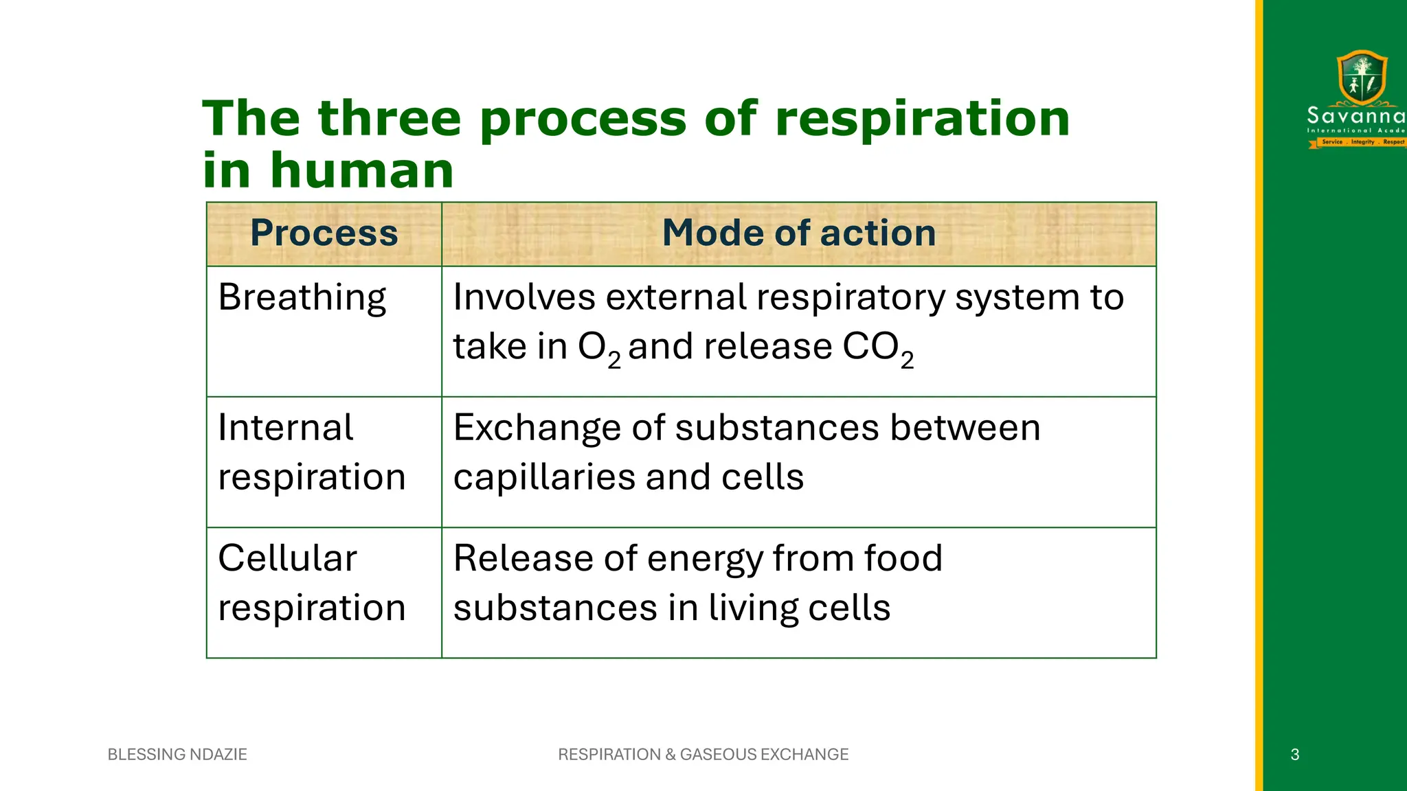 Respiration & Gas Exchange | Cambridge IGCSE Biology | PDF
