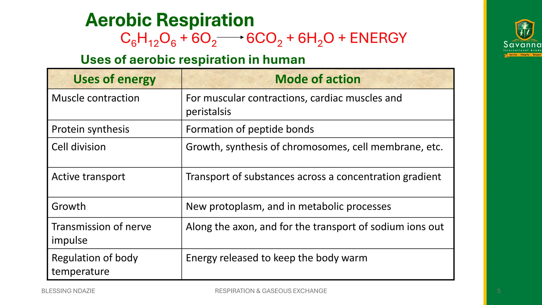 Respiration & Gas Exchange | Cambridge IGCSE Biology | PDF
