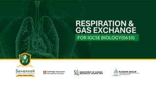 Respiration & Gas Exchange | Cambridge IGCSE Biology | PDF