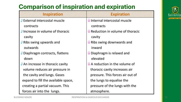 Respiration & Gas Exchange | Cambridge IGCSE Biology | PDF