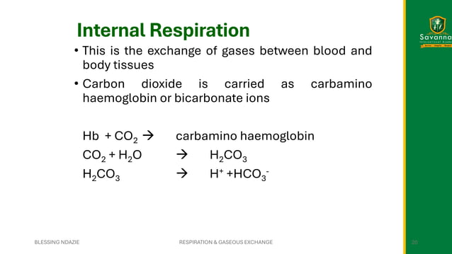 Respiration & Gas Exchange | Cambridge IGCSE Biology | PDF