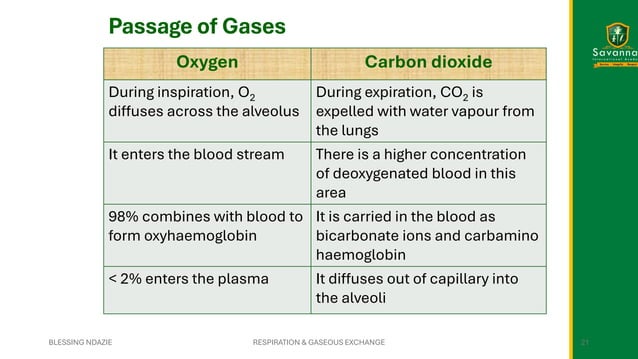 Respiration & Gas Exchange | Cambridge IGCSE Biology | PDF