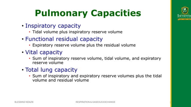 Respiration & Gas Exchange | Cambridge IGCSE Biology | PDF