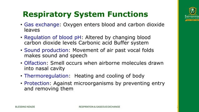 Respiration & Gas Exchange | Cambridge IGCSE Biology | PDF