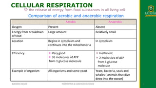 Respiration & Gas Exchange | Cambridge IGCSE Biology | PDF