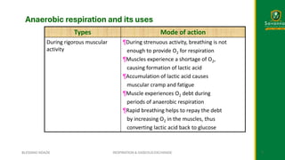Respiration & Gas Exchange | Cambridge IGCSE Biology | PDF