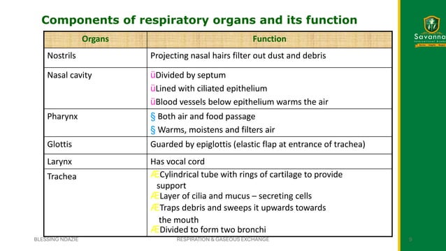 Respiration & Gas Exchange | Cambridge IGCSE Biology | PDF
