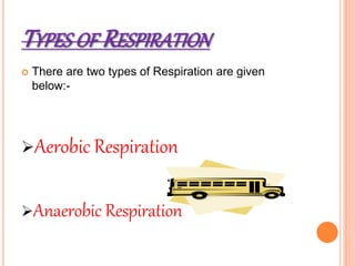 Respiration gaurav | PPT