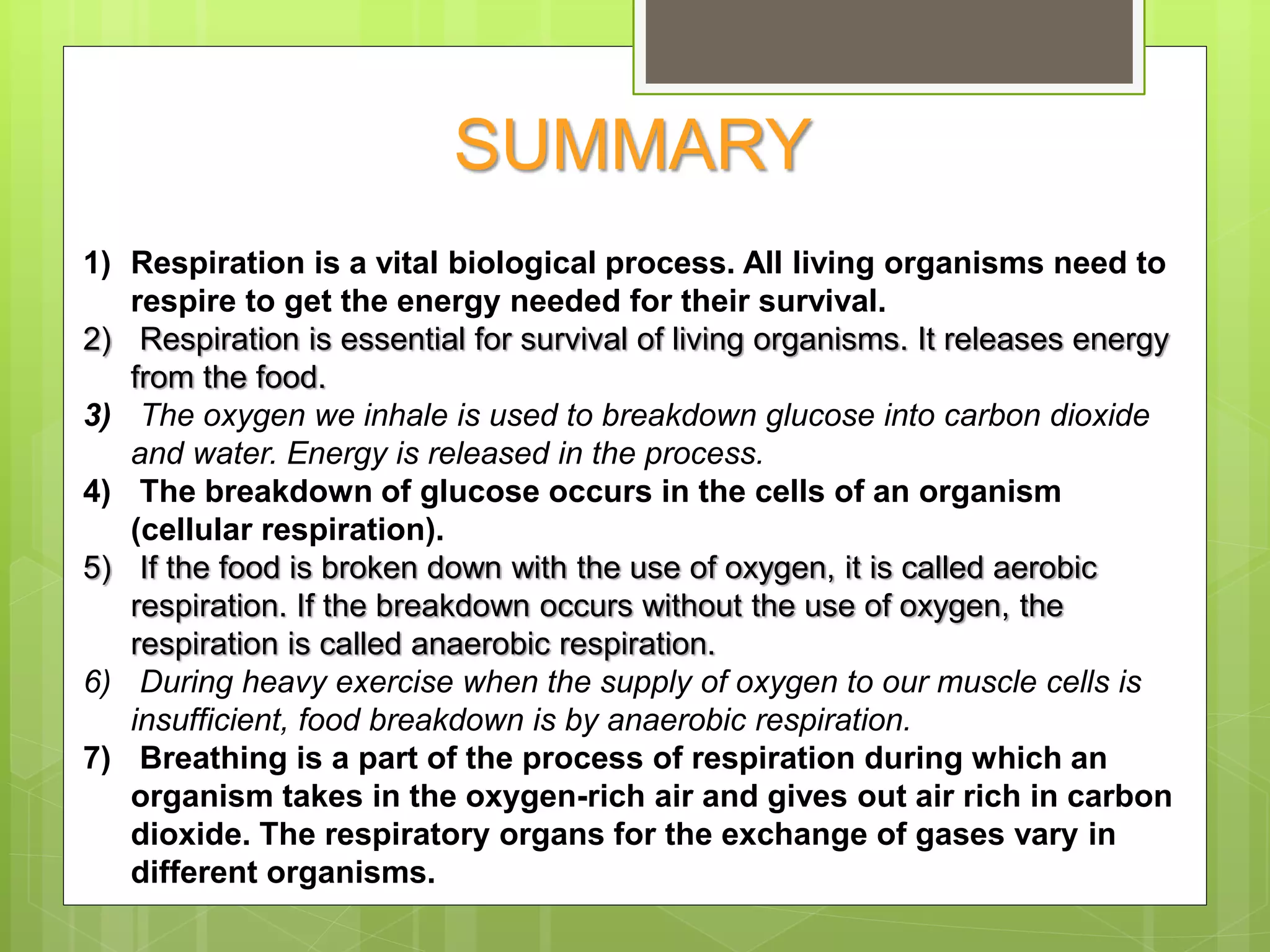 Respiration in animals bio | PPTX