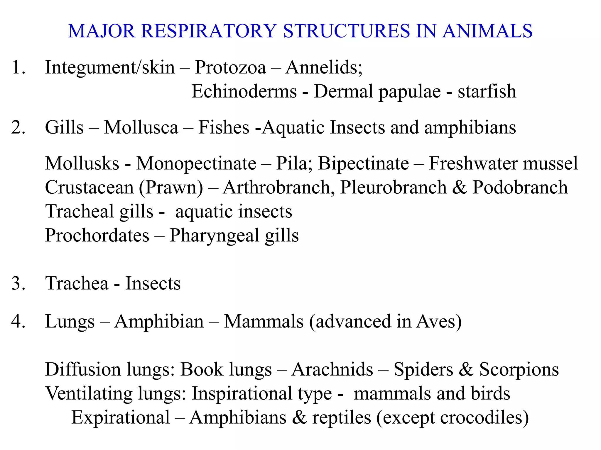 Respiration in animals final.ppt