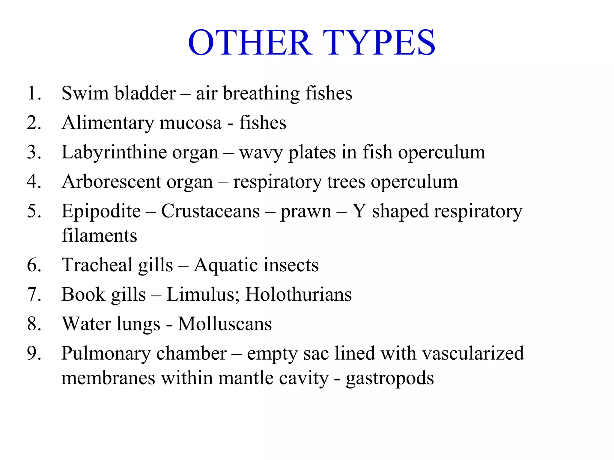 Respiration in animals final.ppt