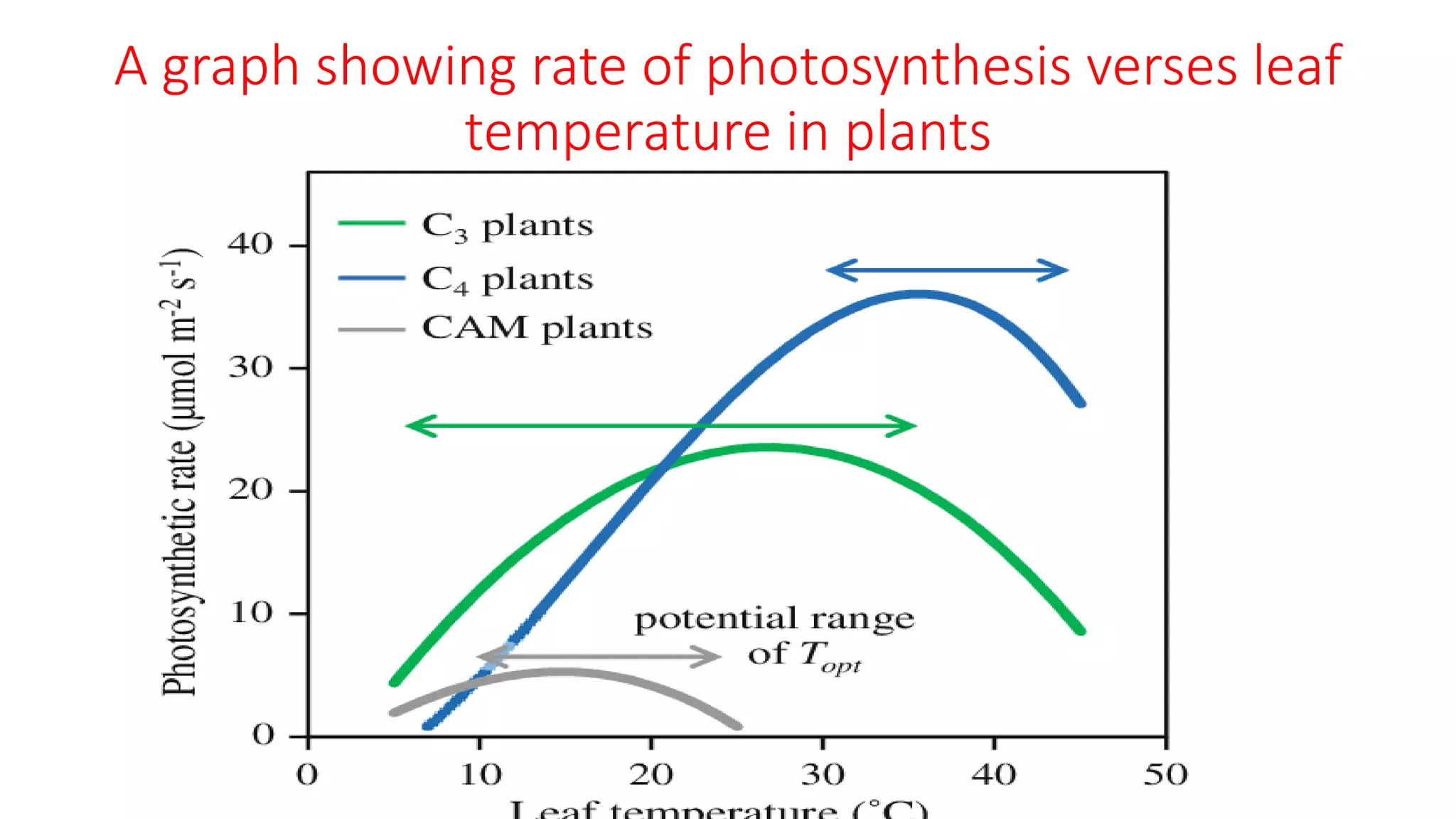 photosynthesis in CAM plants and Photorespiration | PPTX