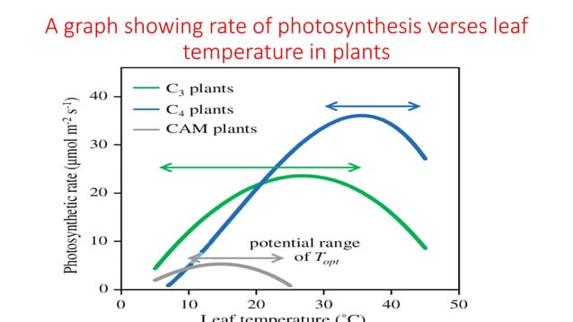 photosynthesis in CAM plants and Photorespiration