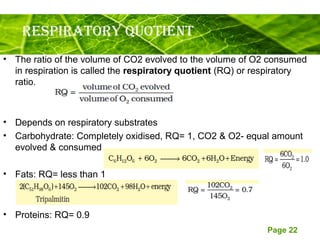 Respiration in higher plants | PPT