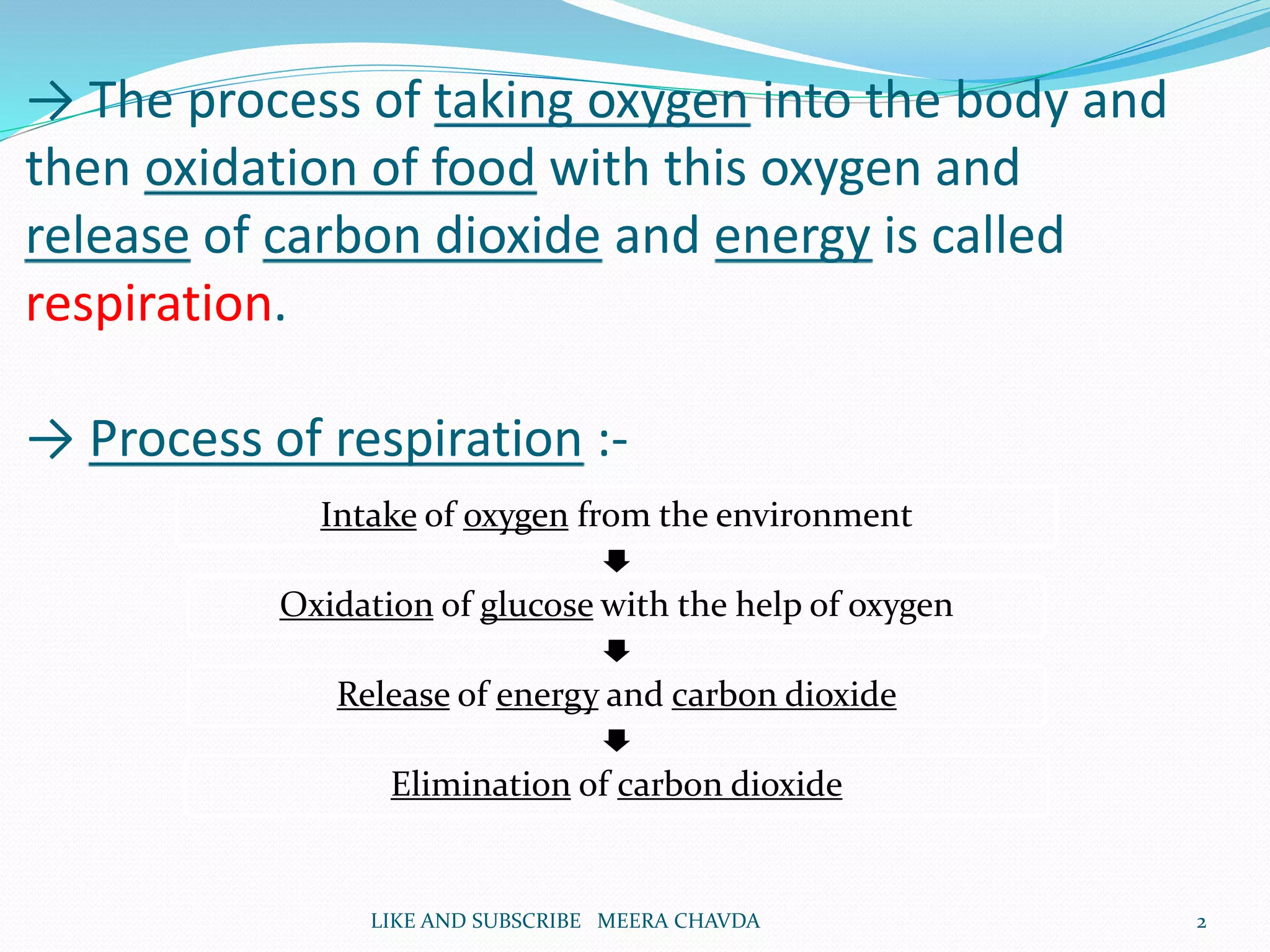 Respiration in humans grade 7 notes | PPTX