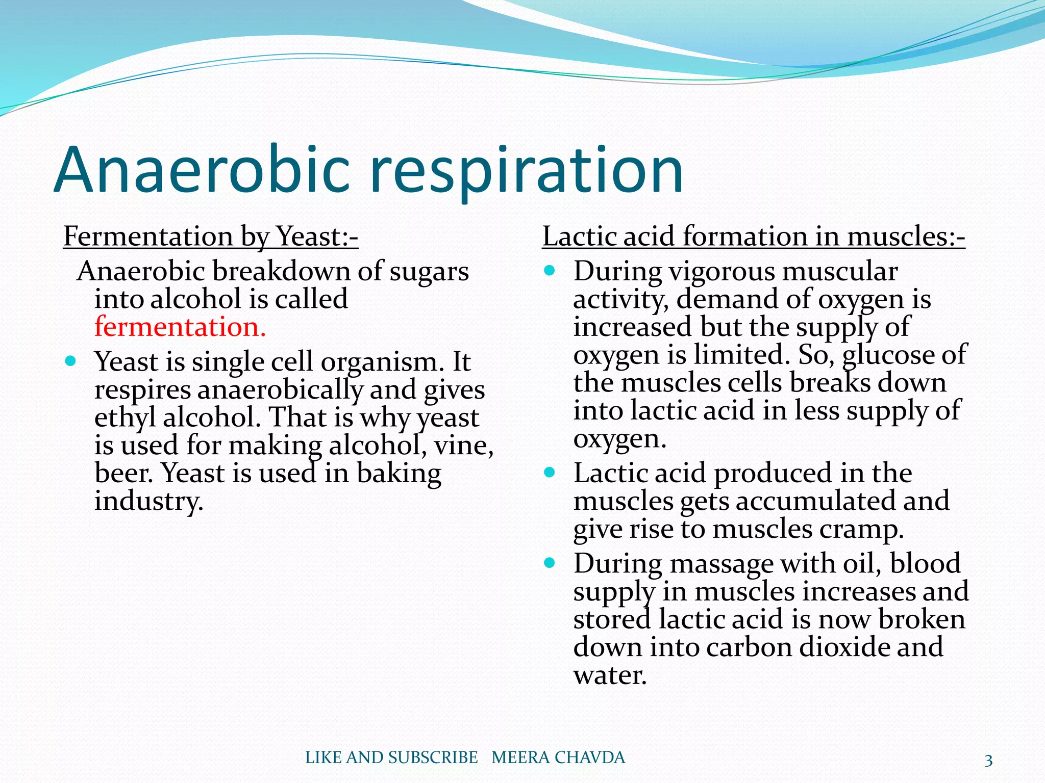 Respiration in humans grade 7 notes | PPTX