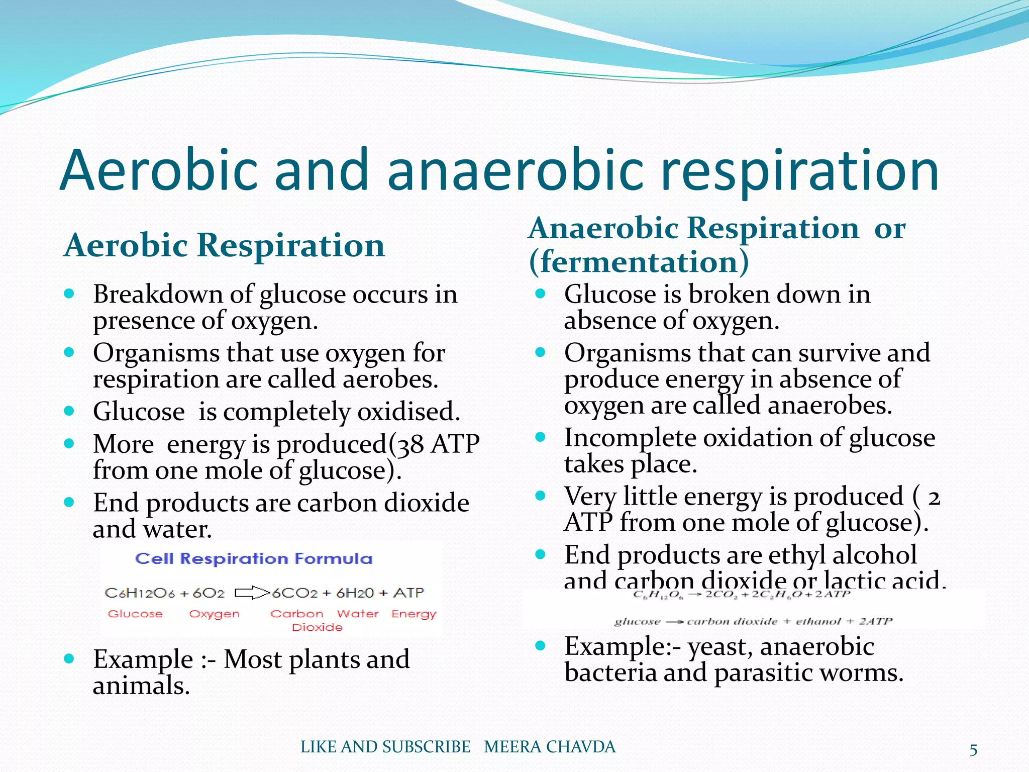 Respiration in humans grade 7 notes | PPTX
