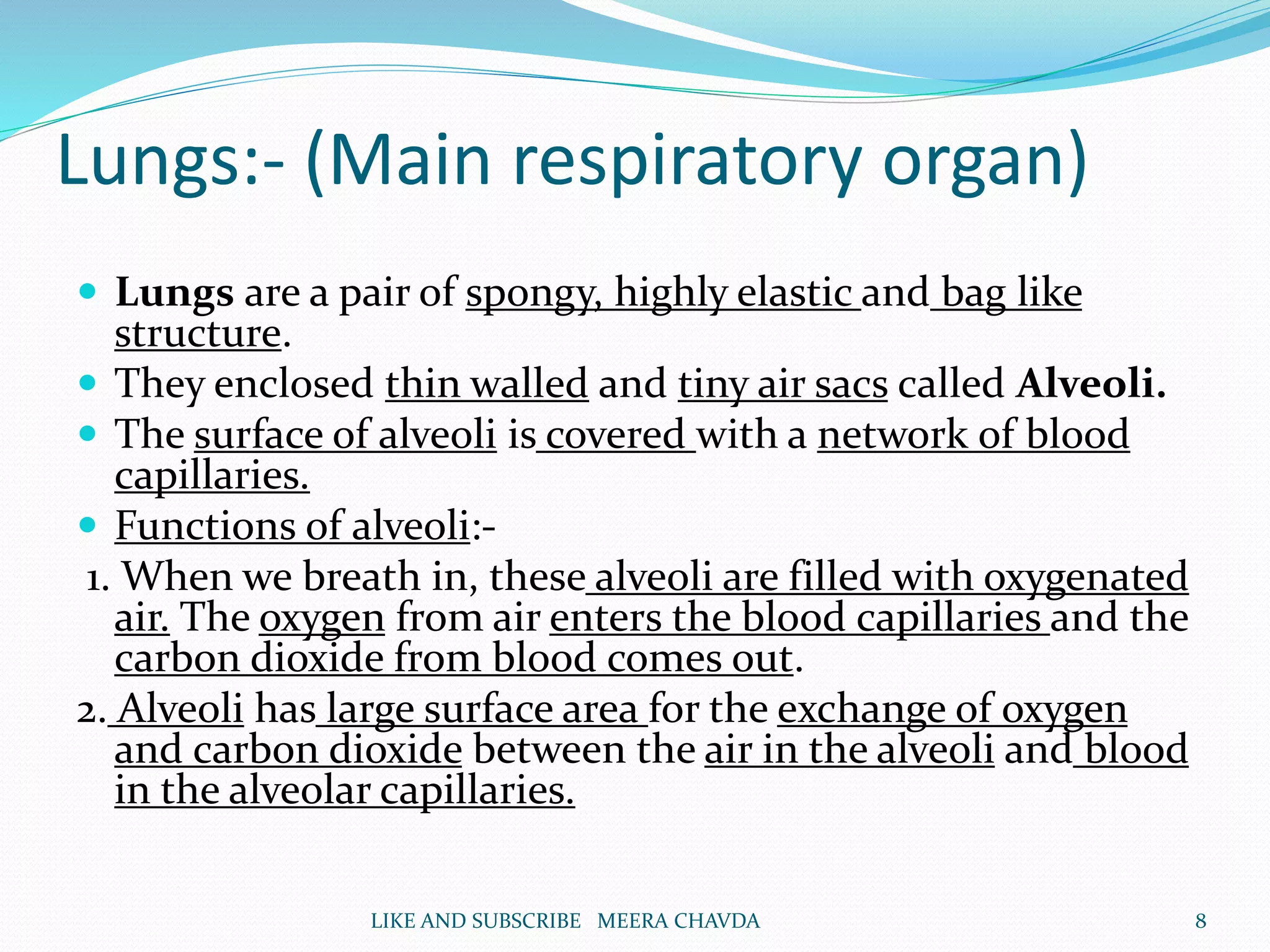 Respiration in humans grade 7 notes | PPTX