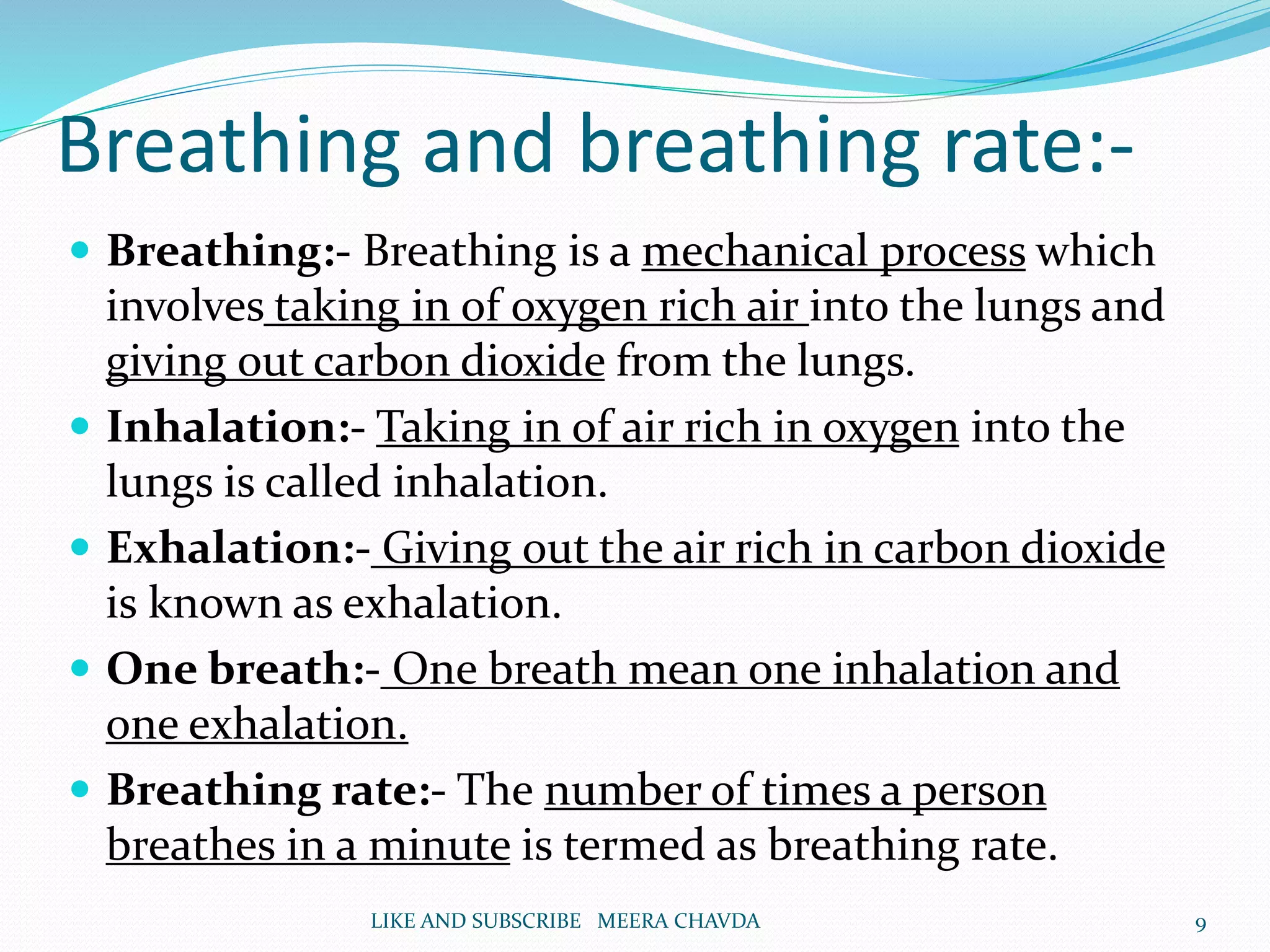 Respiration in humans grade 7 notes | PPTX